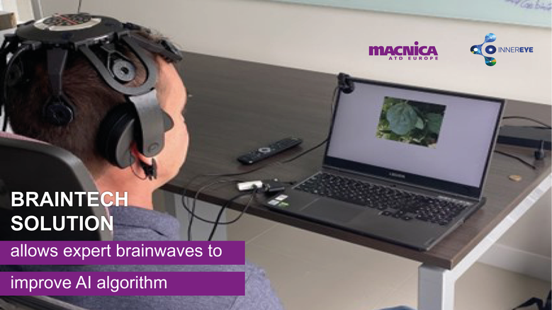 Discover the solution used to label images through neural signals and ...